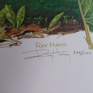 Art | Ray Harm Artist Print Chipmunk 1979 Stamped Signed And Numbered ...